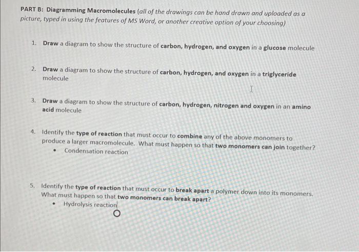 Solved PART B: Diagramming Macromolecules (all of the | Chegg.com