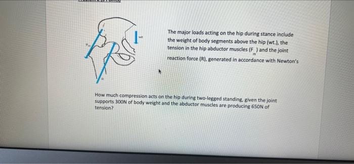 The major loads acting on the hip during stance | Chegg.com
