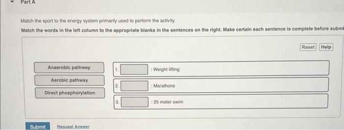 Solved Match the sport to the energy system primarily used | Chegg.com