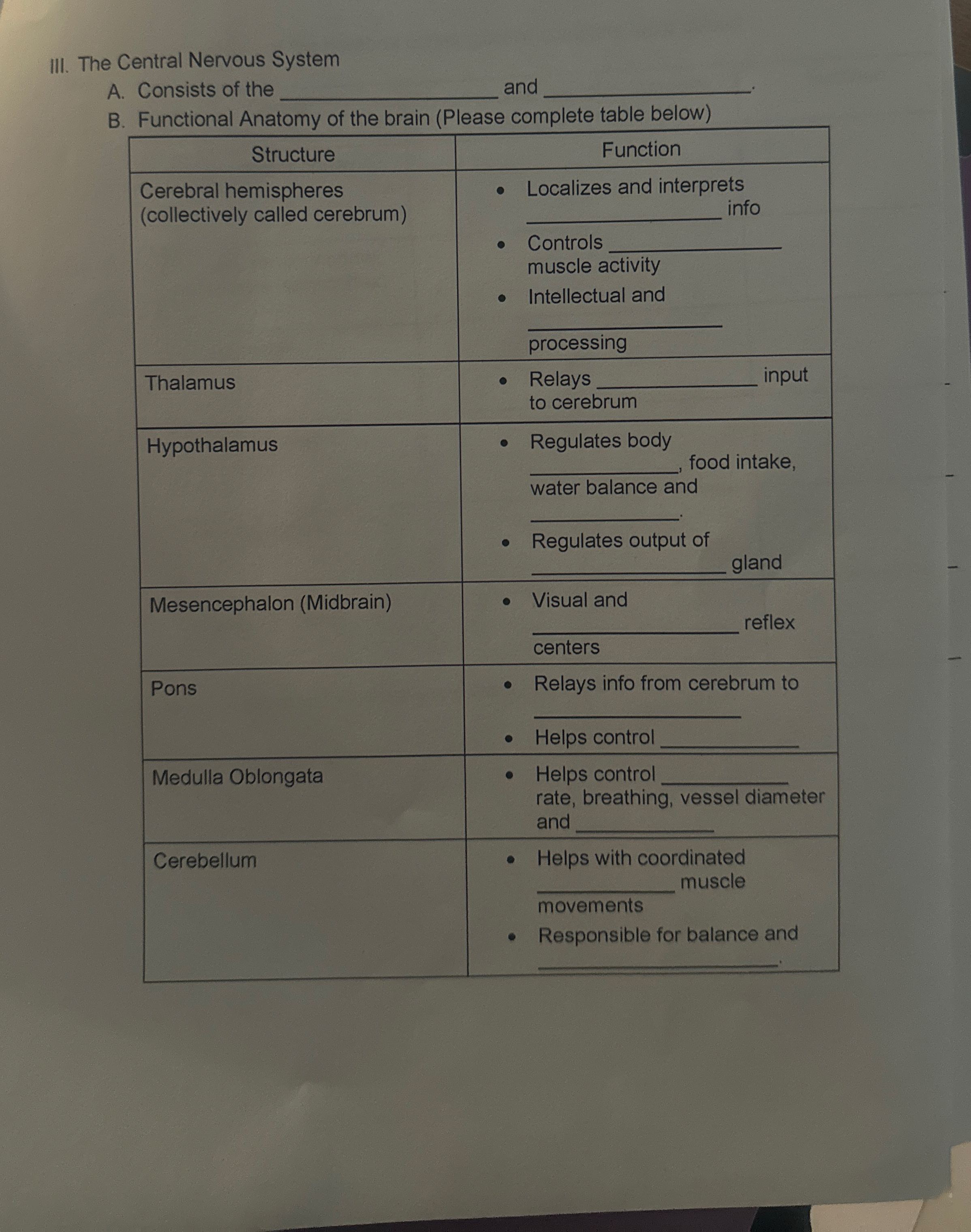 Solved III. The Central Nervous SystemA. ﻿Consists of | Chegg.com