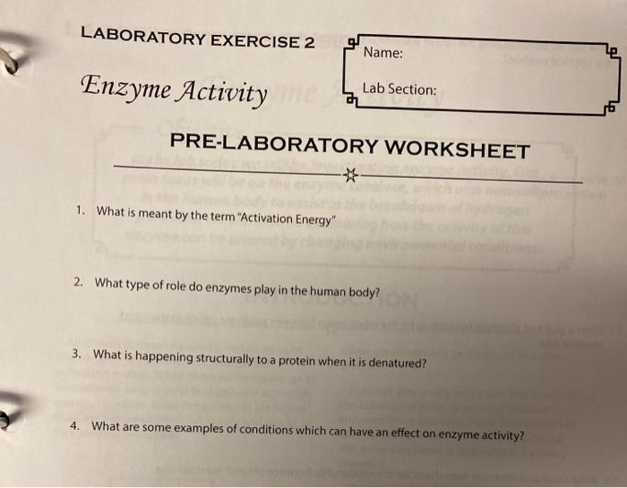 Solved LABORATORY EXERCISE 2 Name: Enzyme Activity Lab | Chegg.com