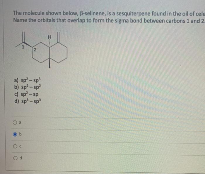 Solved The molecule shown below, B-selinene, is a | Chegg.com