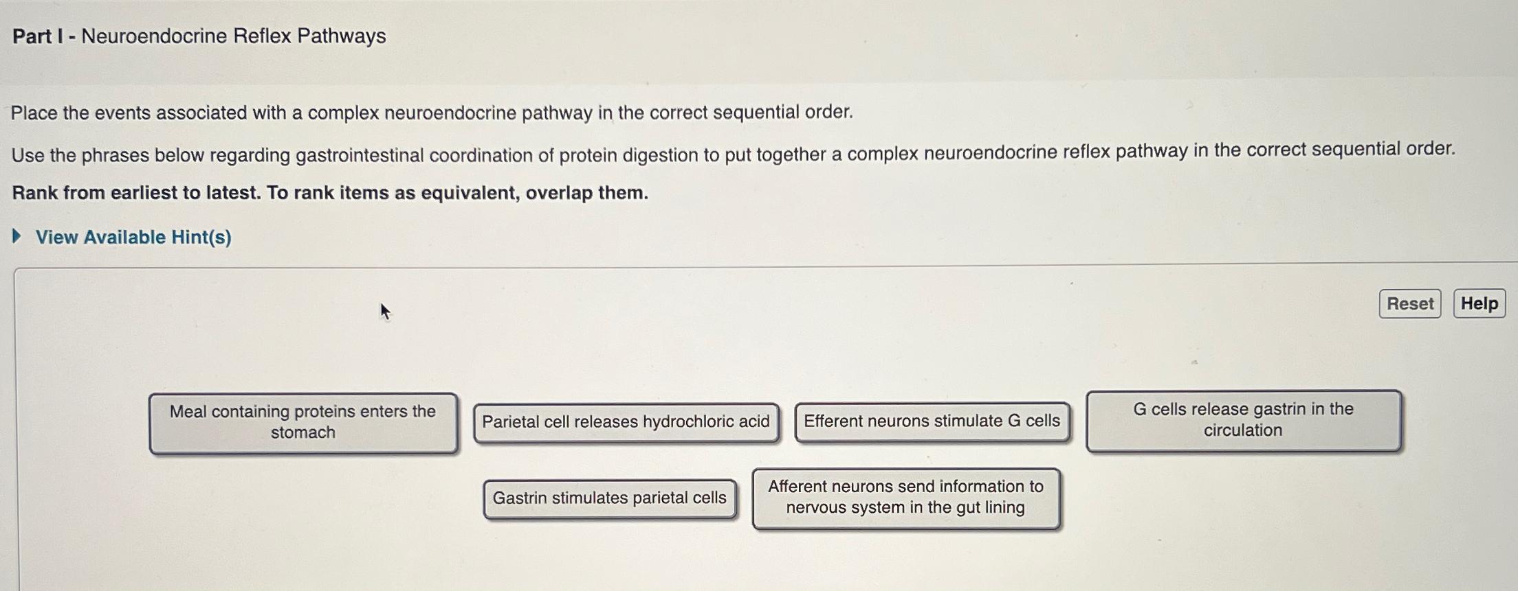 Solved Part I - ﻿Neuroendocrine Reflex PathwaysPlace the | Chegg.com
