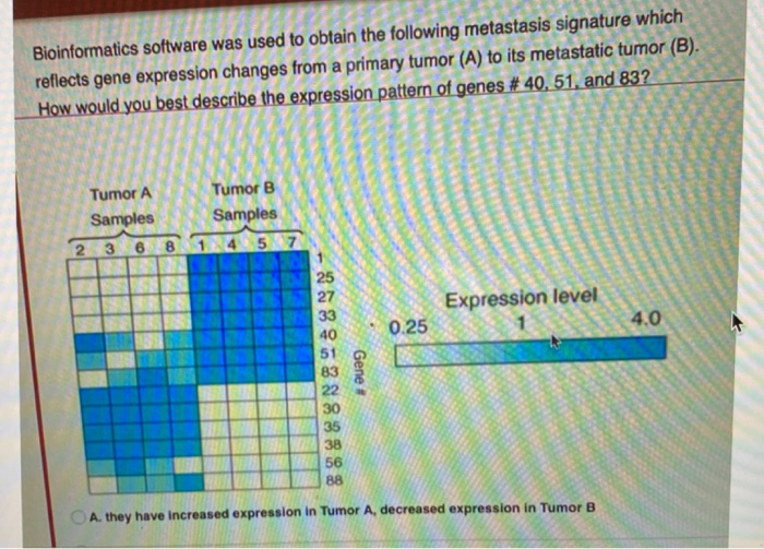 Solved Bioinformatics software was used to obtain the | Chegg.com