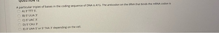 Solved A particular triplet of bases in the coding sequence | Chegg.com