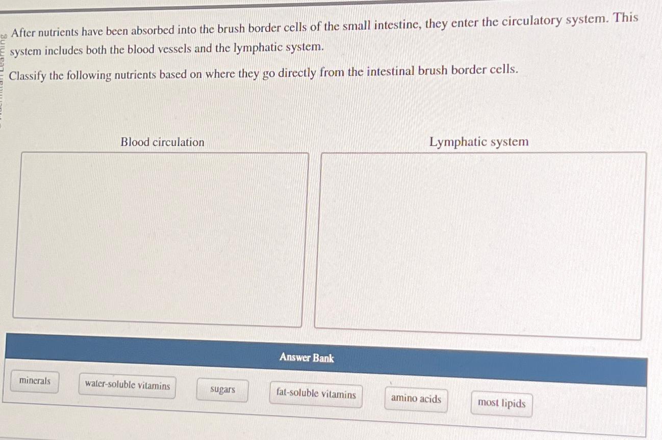 Solved After nutrients have been absorbed into the brush | Chegg.com