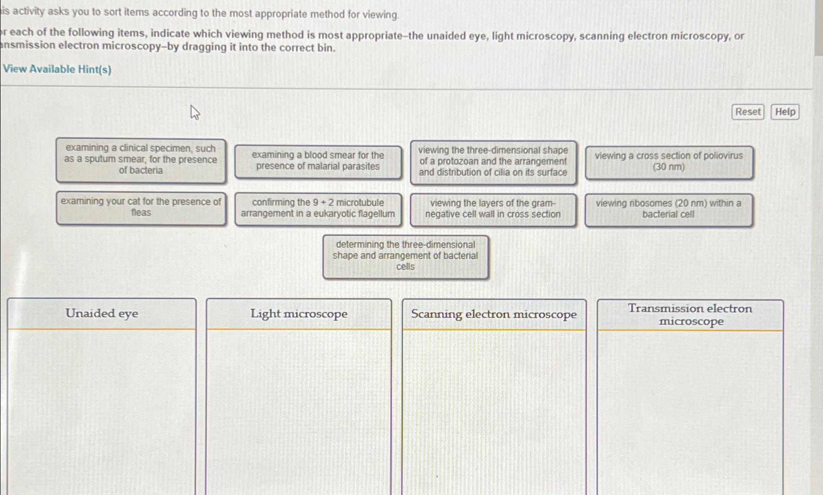 Solved is activity asks you to sort items according to the | Chegg.com