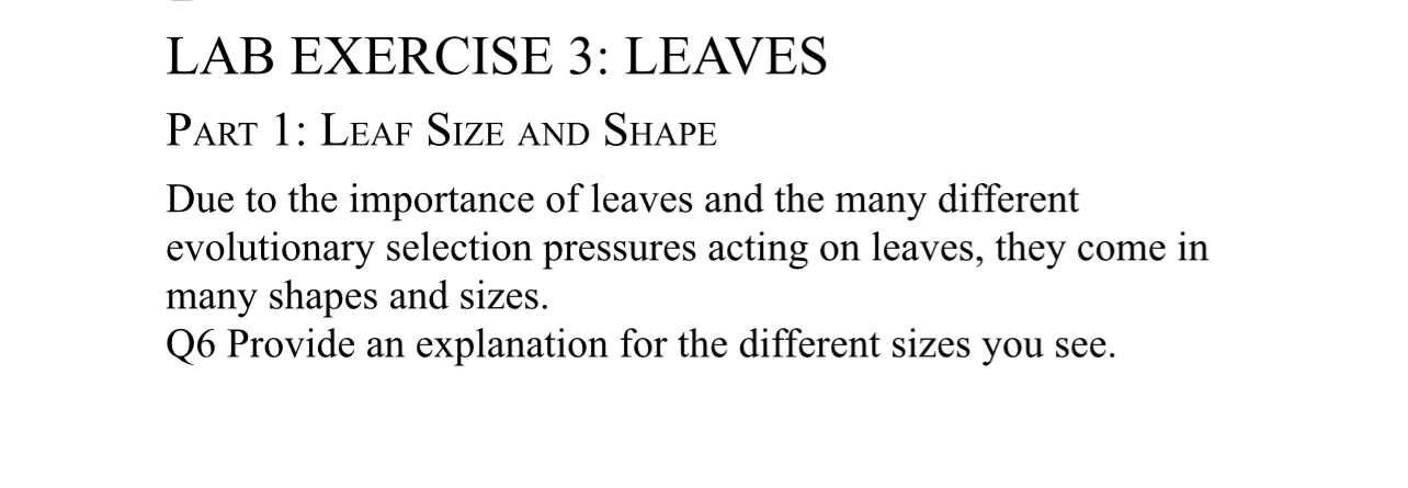 Solved LAB EXERCISE 3: LEAVESPart 1: Leaf Size and ShapeDue | Chegg.com