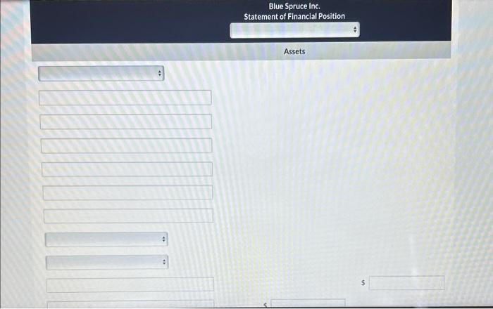 Solved Statement of financial position items for Blue Spruce | Chegg.com