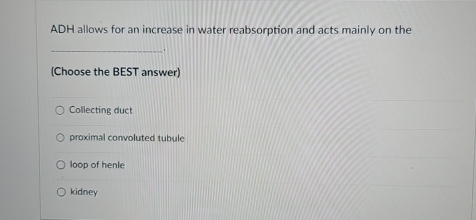 Solved ADH allows for an increase in water reabsorption and | Chegg.com