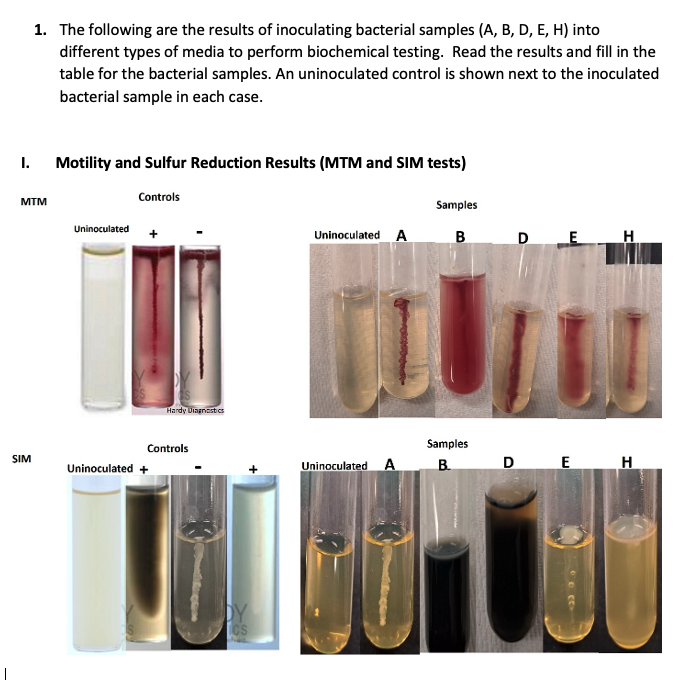 Solved A. (8.0 ﻿pt) ﻿Fill in the table below for the | Chegg.com