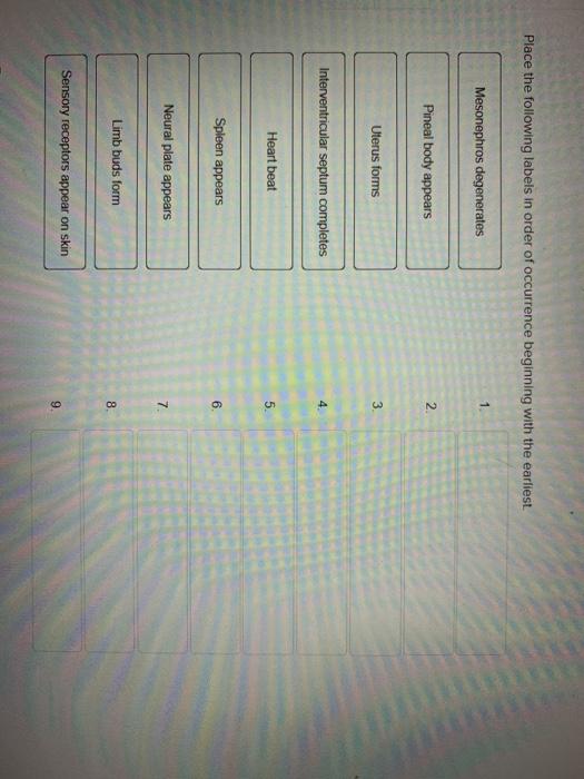 Solved Place the following labels in order of occurrence | Chegg.com