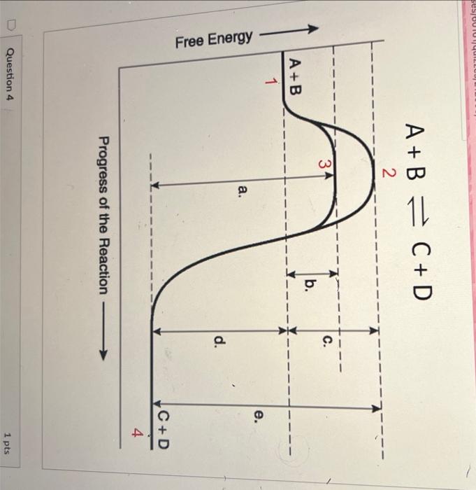 Solved Use the letters on the energy diagram shown to answer | Chegg.com