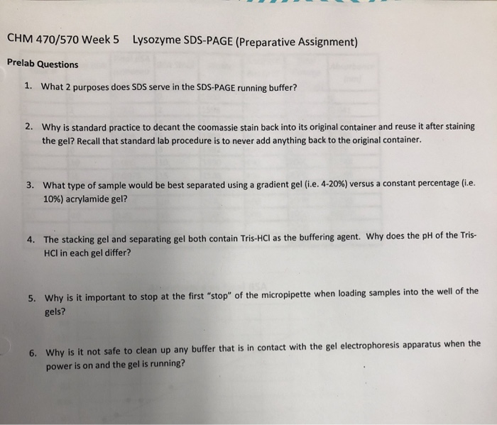 Solved CHM 470/570 Week 5 Lysozyme SDS-PAGE (Preparative | Chegg.com