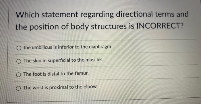 Solved Which statement regarding directional terms and the | Chegg.com