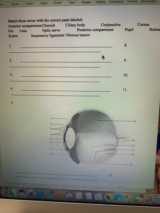 Solved ew Zoom Insert Table Chart Text Shape Media Comment | Chegg.com