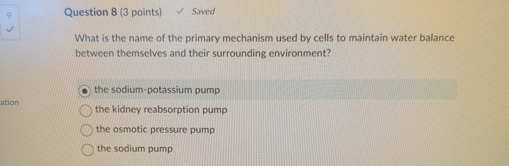 Solved Question 8 (3 ﻿points)SavedWhat is the name of the | Chegg.com