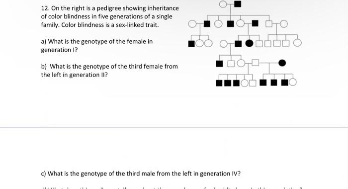 Solved 12. On the right is a pedigree showing inheritance of | Chegg.com