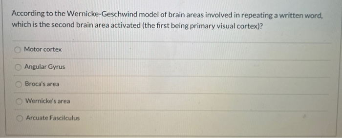 Solved According to the Wernicke-Geschwind model of brain | Chegg.com