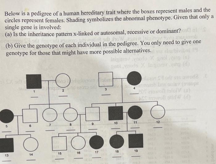 Solved Below is a pedigree of a human hereditary trait where | Chegg.com