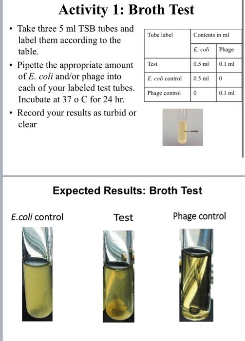 Solved Qualitative Tests Broth Test Record your observations | Chegg.com
