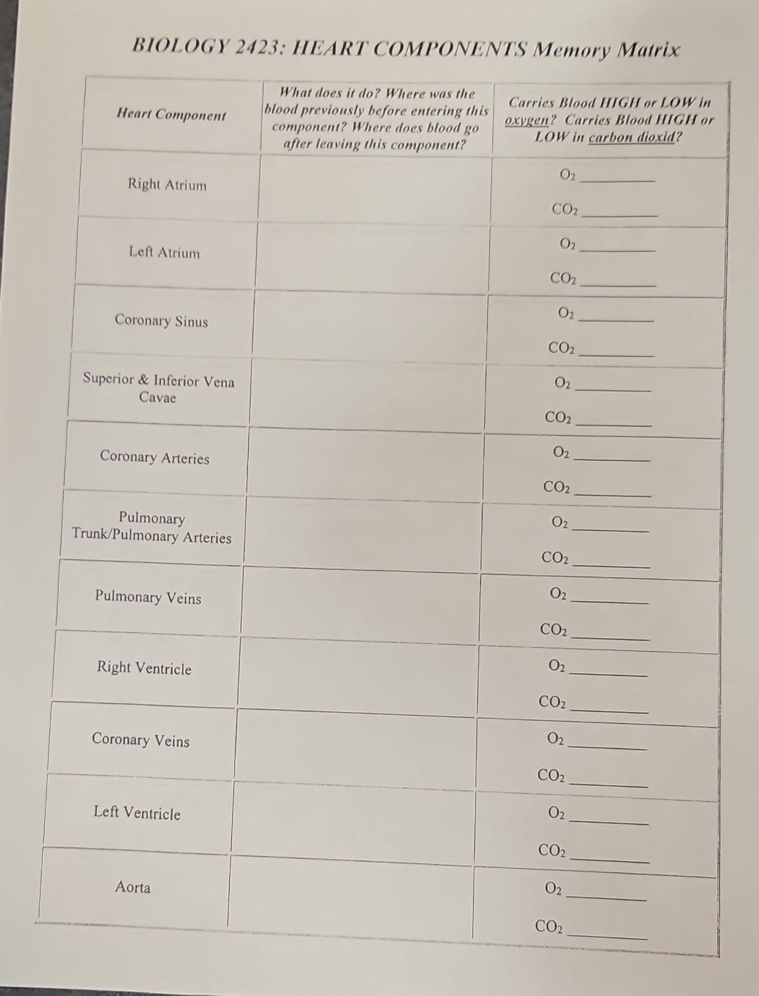 Solved BIOLOGY 2423: HEART COMPONENTS Memory Matrix | Chegg.com