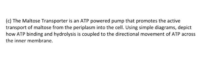 Solved (c) The Maltose Transporter is an ATP powered pump | Chegg.com