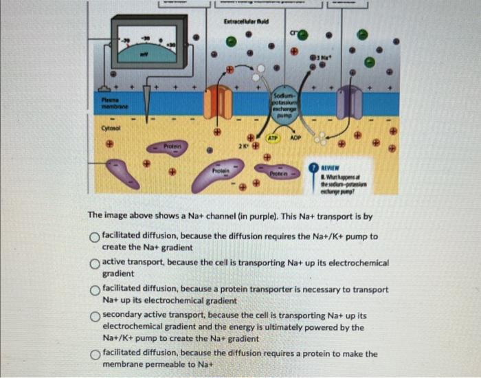 Solved What is a typical sequence of events in signaling? | Chegg.com