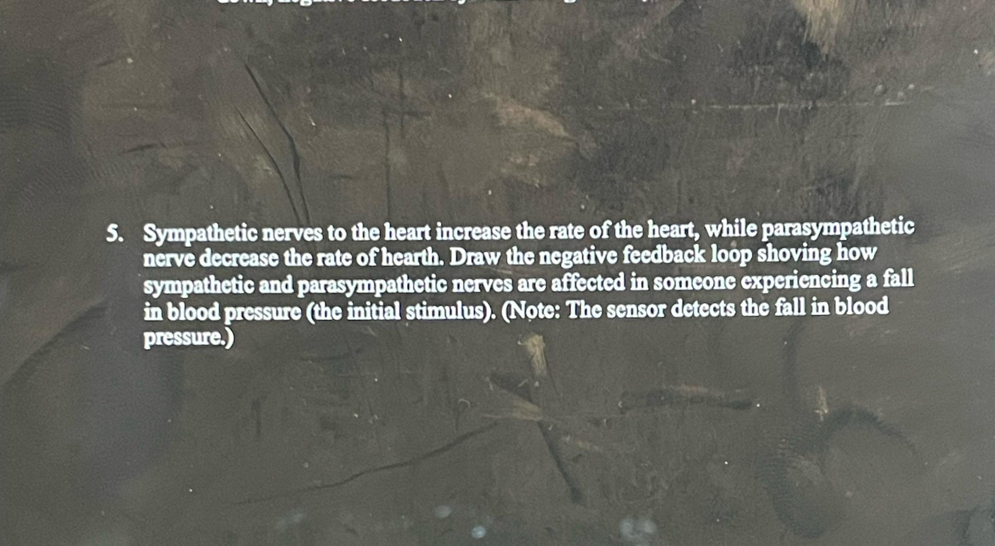 Solved Sympathetic nerves to the heart increase the rate of | Chegg.com