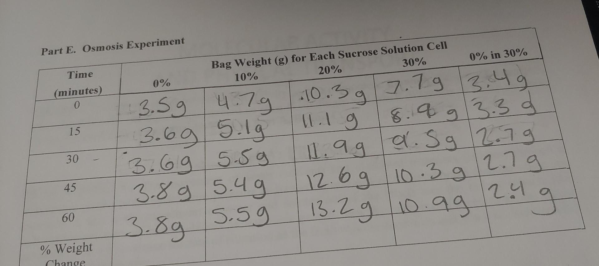 Solved 3. Construct a graph of % weight change versus bag | Chegg.com
