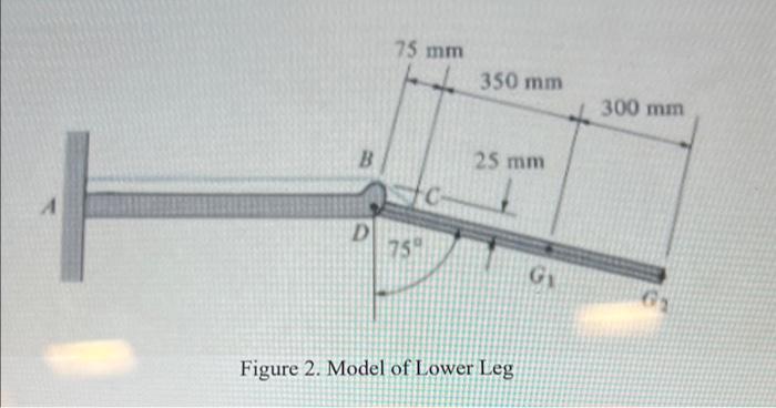 Solved 4. The bone structure a human leg shown in Figure 1 | Chegg.com