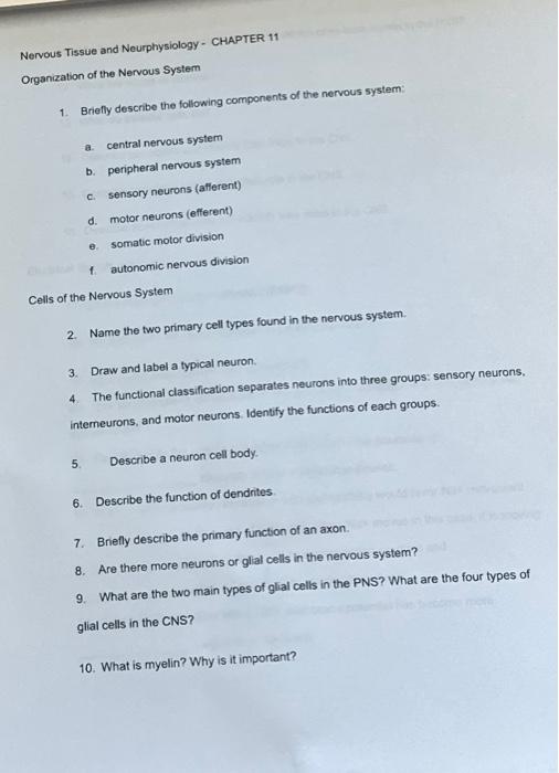 Solved Nervous Tissue and Neurphysiology - CHAPTER 11 | Chegg.com