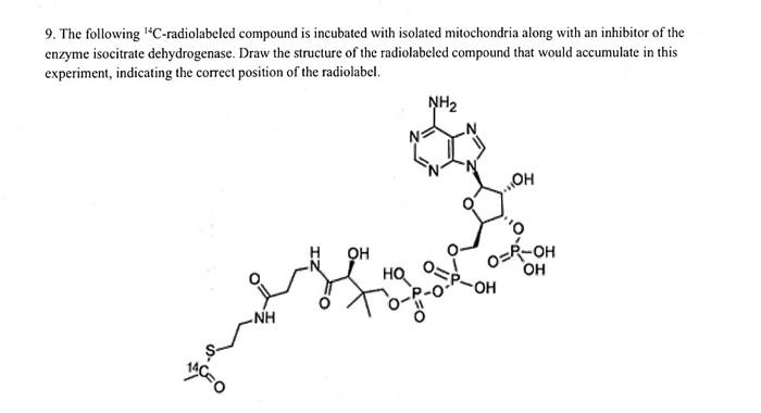 Solved 5. Here is the Fischer projection of D-sorbose. | Chegg.com