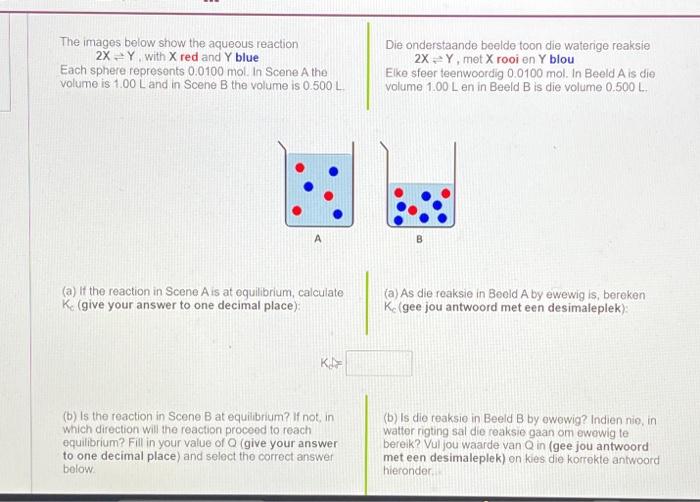 Solved The images below show the aqueous reaction 2XY, with | Chegg.com