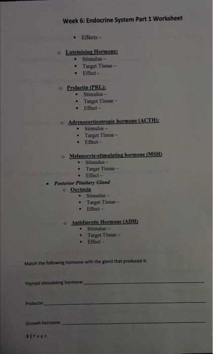 Solved Week 6: Endocrine System Part 1 Worksheet ising items | Chegg.com