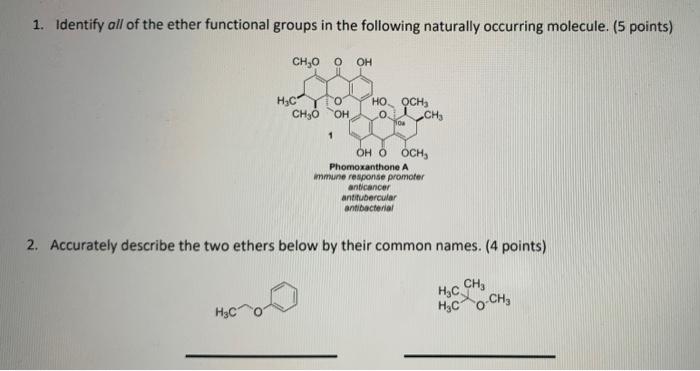 Solved 1. Identify all of the ether functional groups in the | Chegg.com