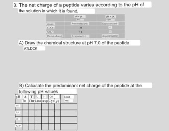 The net charge of a peptide varies according to the | Chegg.com