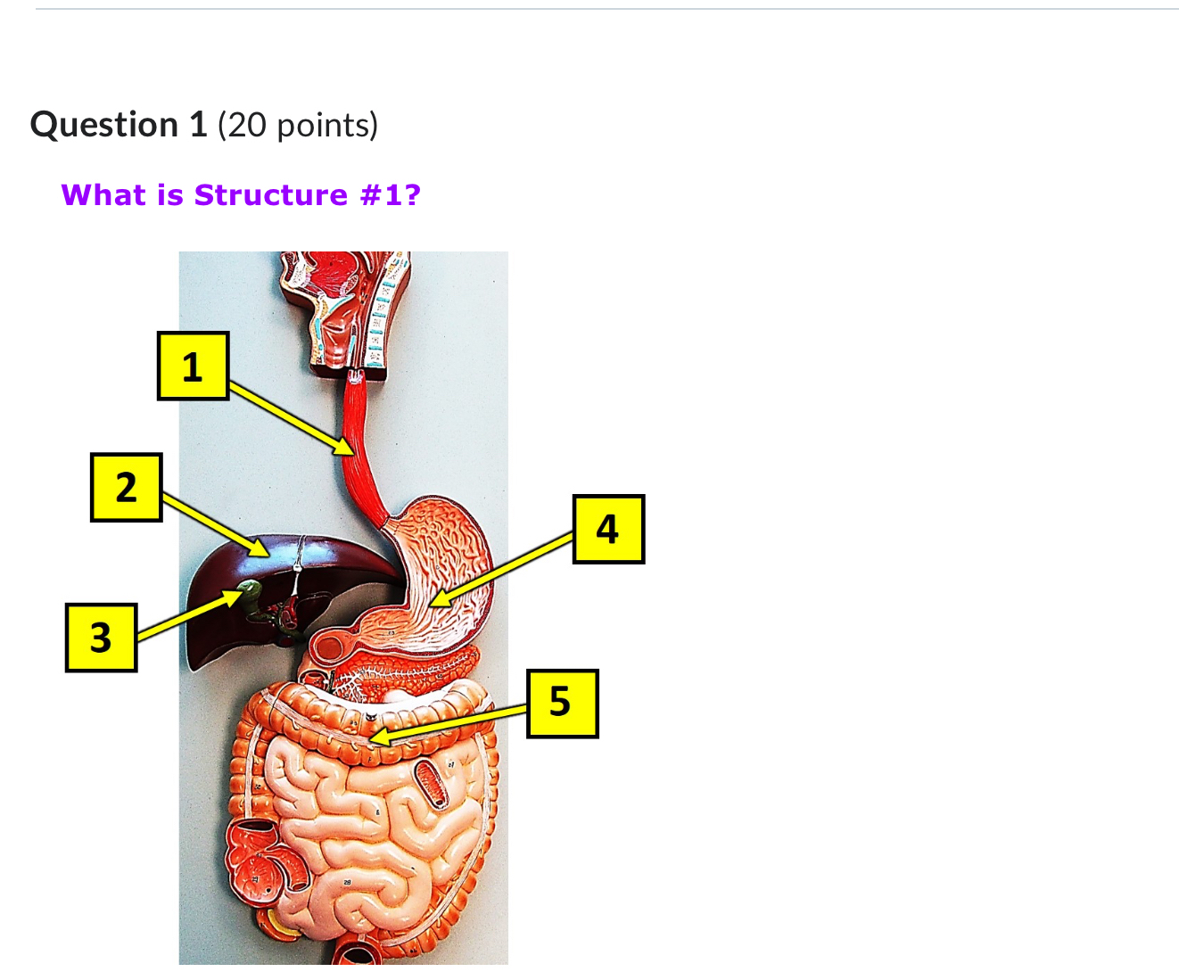 Solved Question 1 (20 points)What is Structure #1? | Chegg.com Solved Question 1 (20 points)What is Structure #1? | Chegg.com