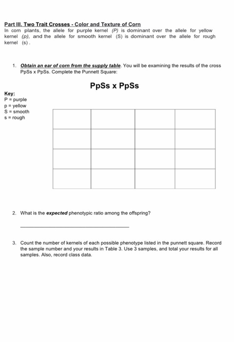 Solved Part III. Two Trait Crosses - Color and Texture of | Chegg.com