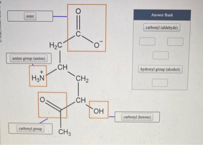 Solved match them correctly please | Chegg.com