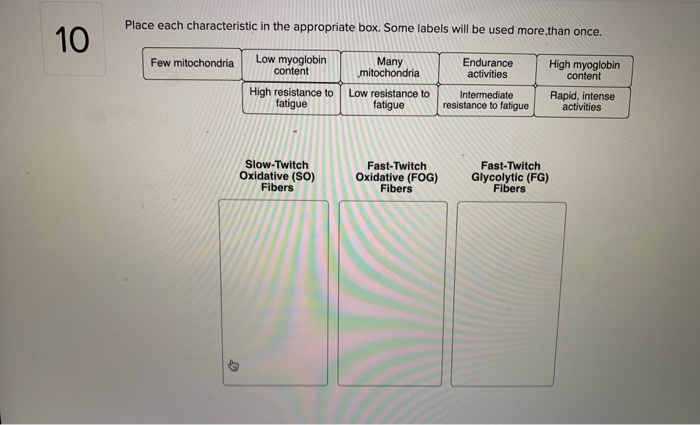 Solved Place each characteristic in the appropriate box. | Chegg.com