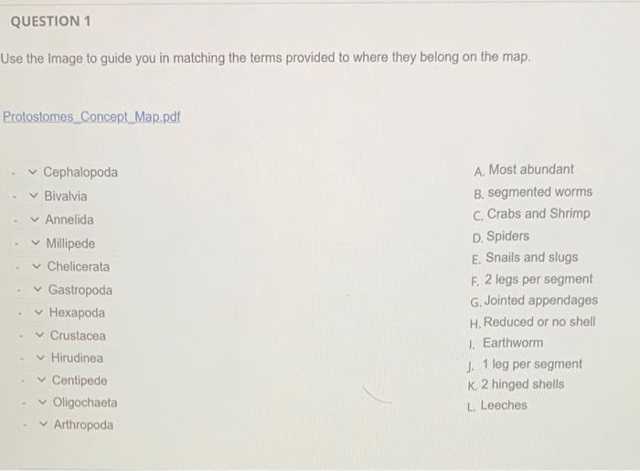Solved Use the Image to guide you in matching the terms | Chegg.com