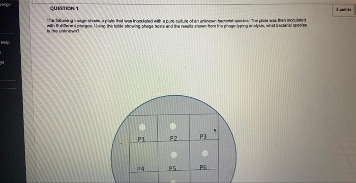 The following image shows a plate that was inoculated | Chegg.com