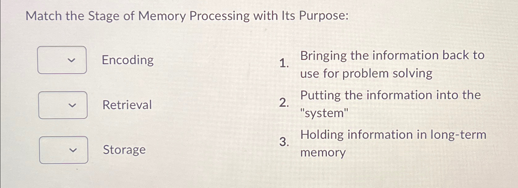 Solved Match the Stage of Memory Processing with Its | Chegg.com