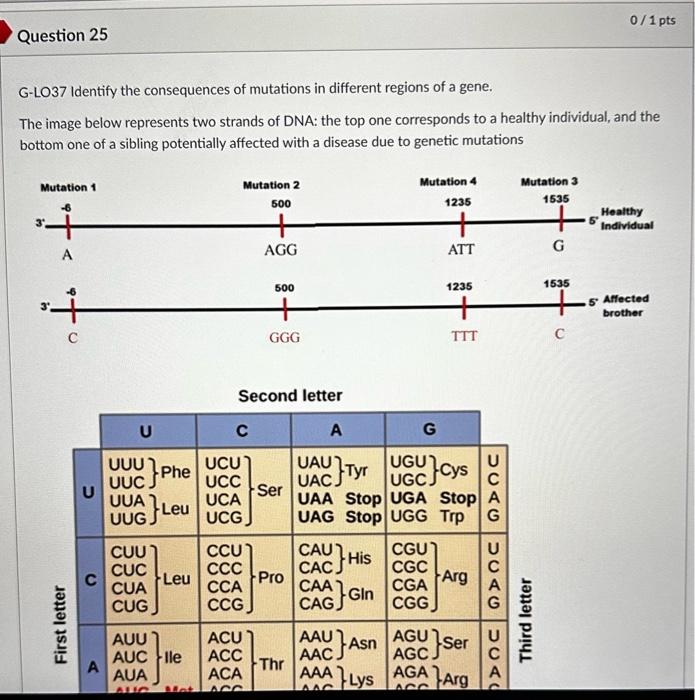 Solved G-LO37 Identify the consequences of mutations in | Chegg.com