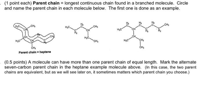 Solved (1 point each) Parent chain = longest continuous | Chegg.com