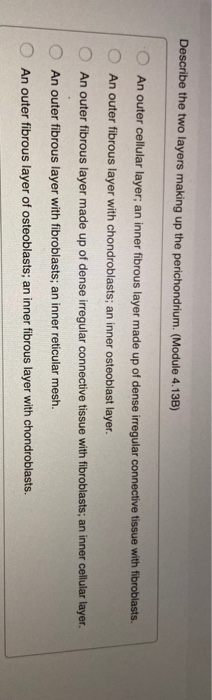 Solved Describe the two layers making up the perichondrium. | Chegg.com