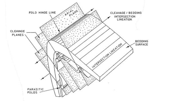 Solved 6 The Diagram Above Shows Folded Bedding In An Chegg