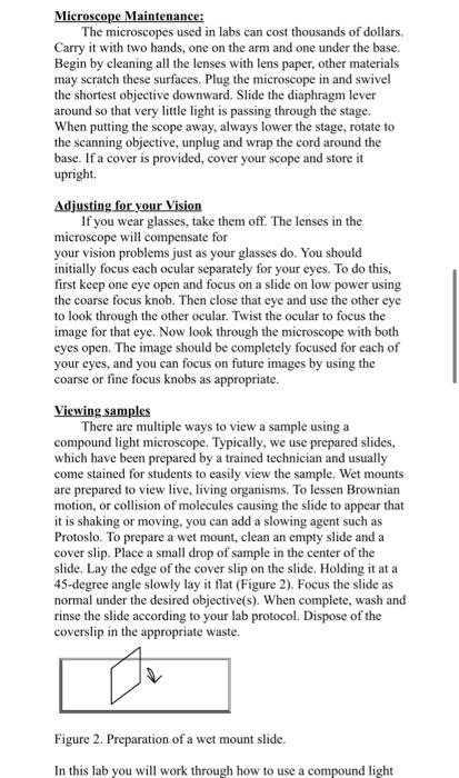 Figure 2. Preparation of a wet mount slide. In this | Chegg.com