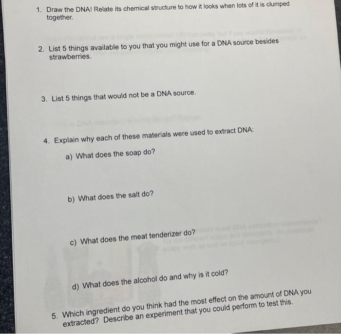 Solved 1. Draw the DNAI Relate its chemical structure to how | Chegg.com